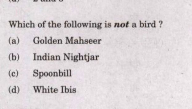 India’s First Confirmed Case Of Pufferfish Poisoning » UnderStand UPSC